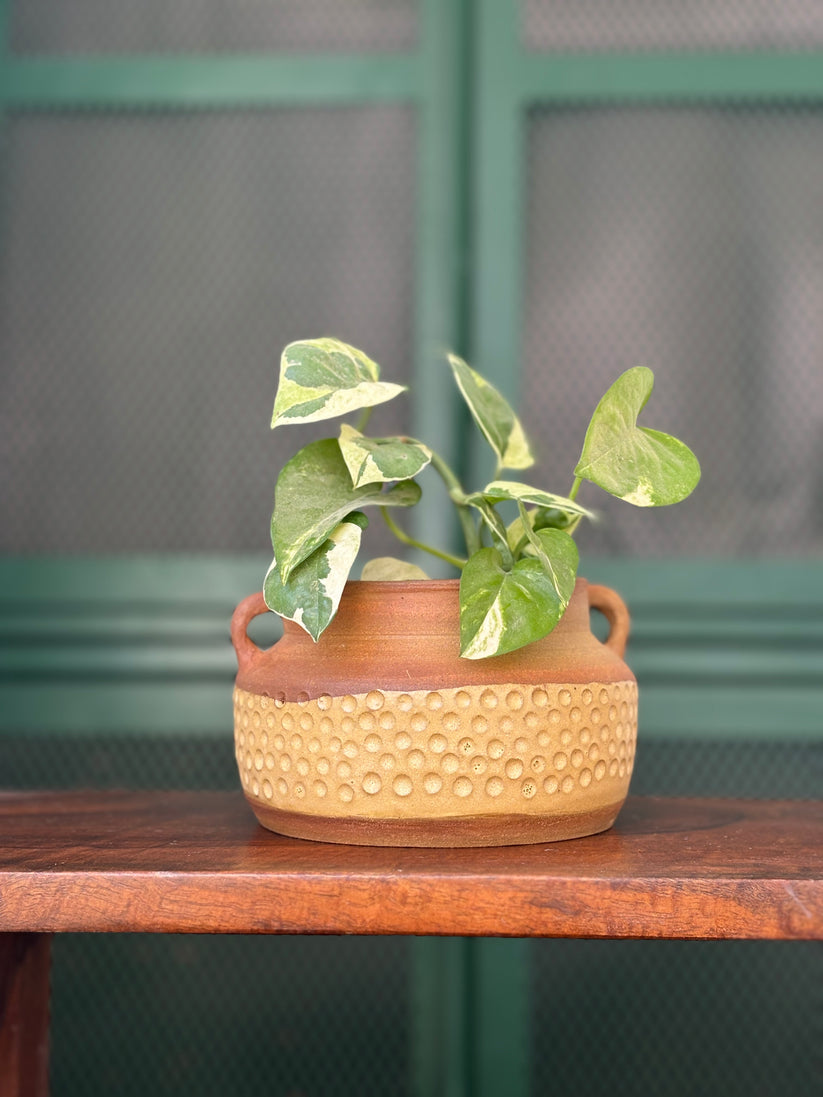 Carved Planter – The Janbo
